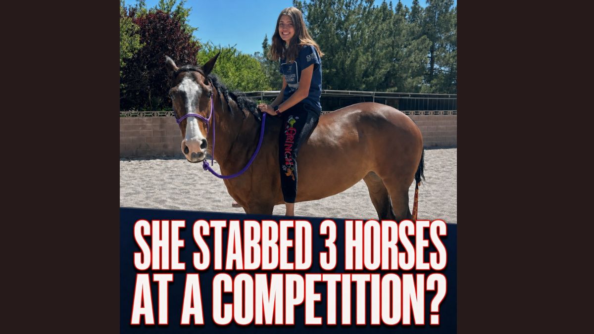 Las Vegas Teen, Emily Grace, Charged in Stabbing of Three Horses at ...